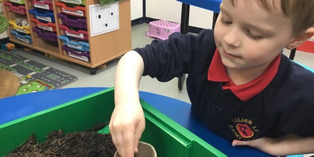 EYFS Science Week – All About Plants! – Caldew Lea Primary School